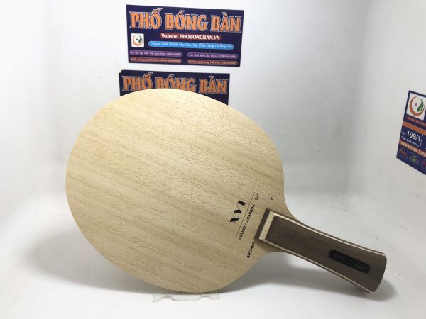 Cốt vợt XVT Archer B | Phố Bóng Bàn